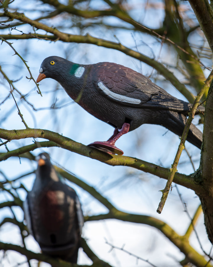 10 Flocked Full Body Crows with Carry Bag – A1 DECOY LTD