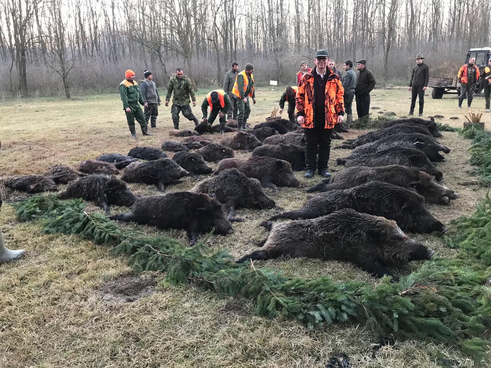 WILD BOAR, RED HIND AND ROE DOE HUNTING IN HUNGARY – A1 DECOY LTD