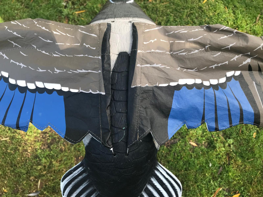 Flapping Mallard Duck Decoy Motorised Realistic Wing Motion – A1 DECOY LTD