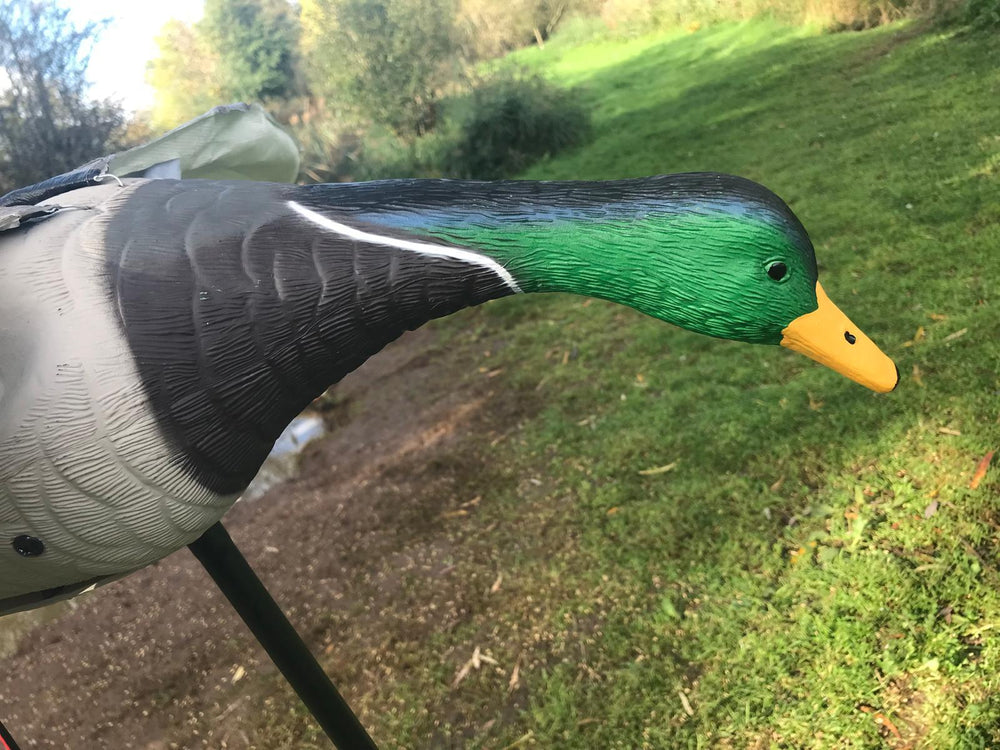 Flapping Mallard Duck Decoy Motorised Realistic Wing Motion – A1 DECOY LTD