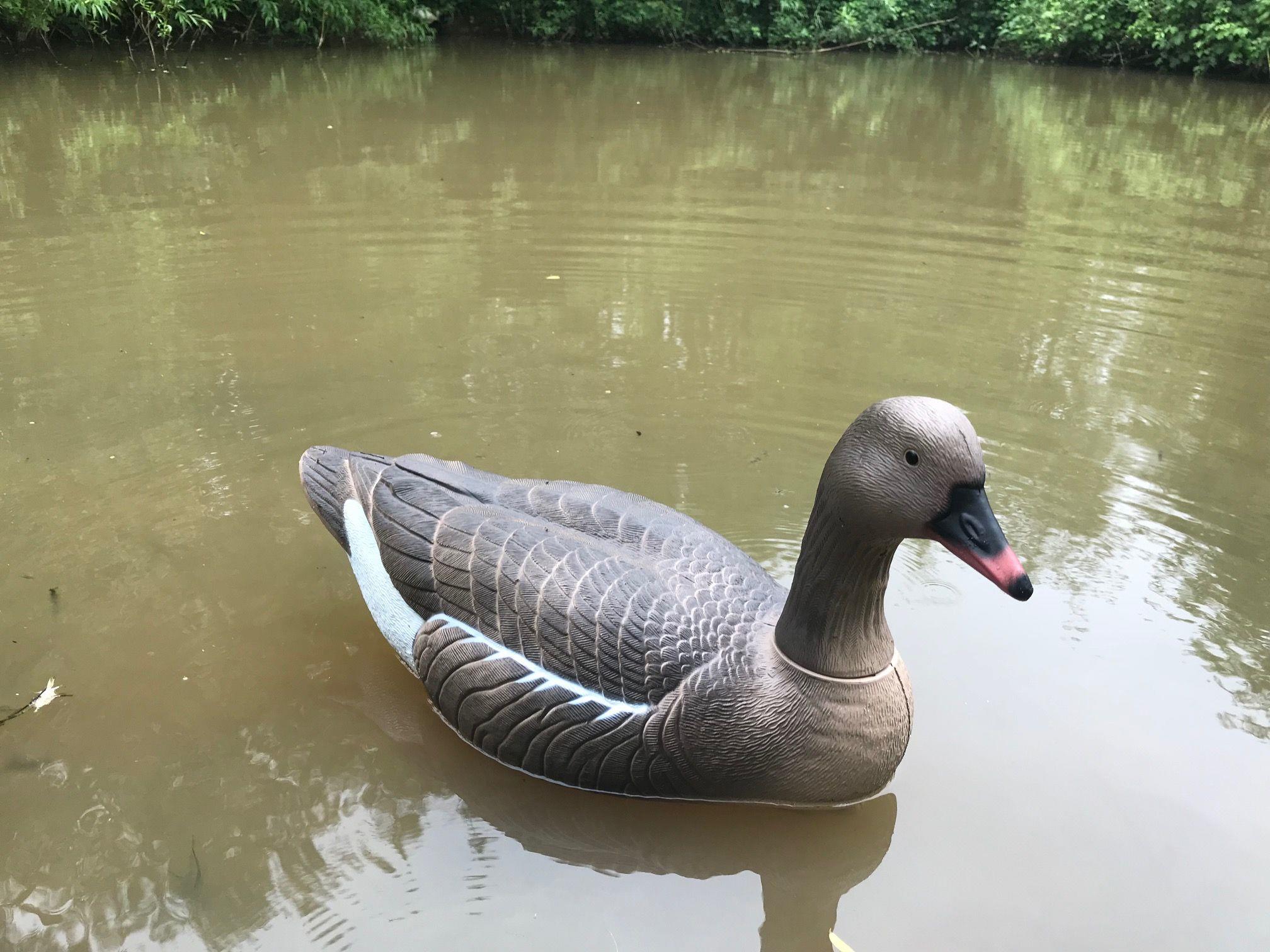 FLOATING PINKFOOT GOOSE DECOY – A1 DECOY LTD